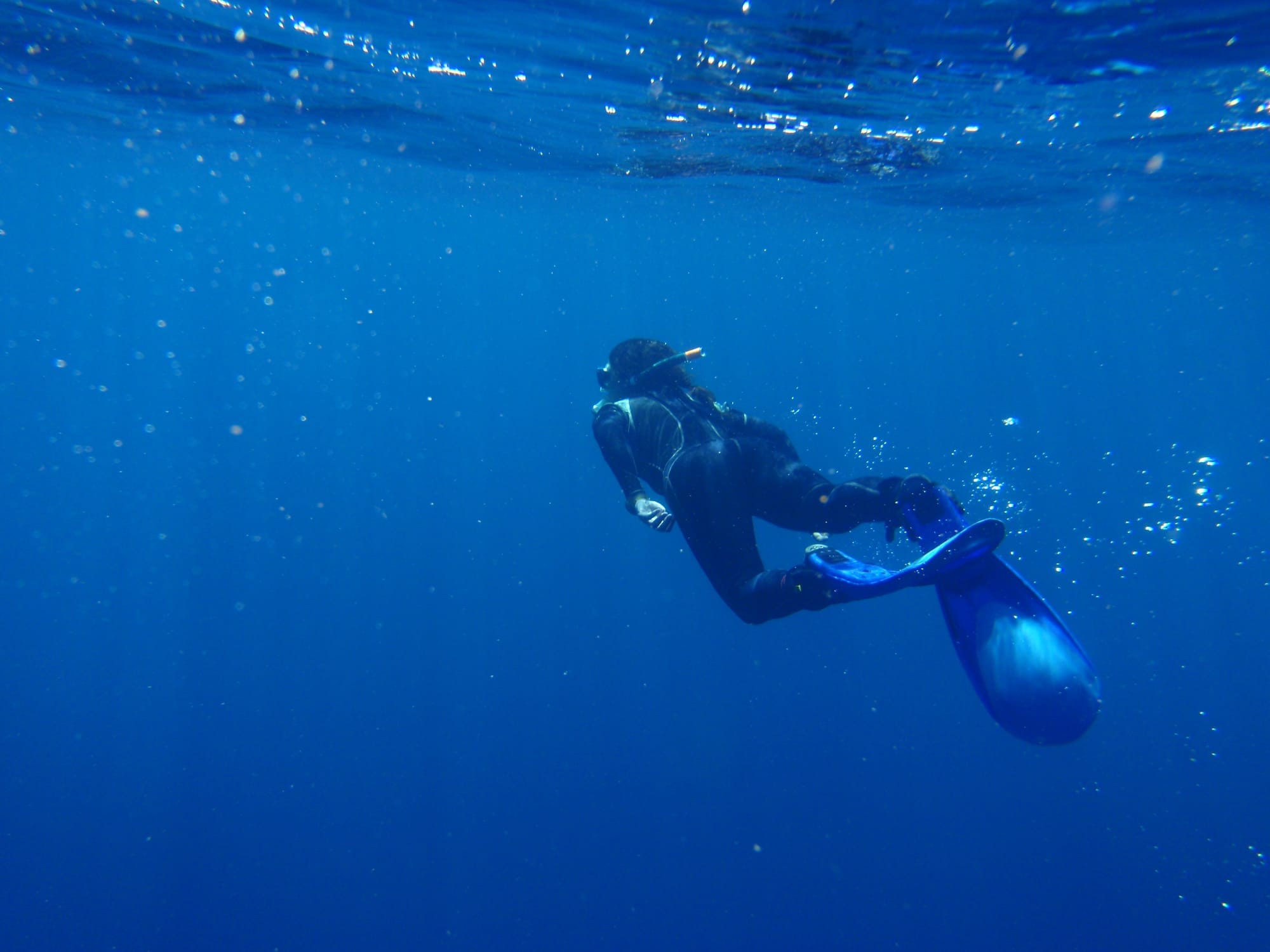 Ana Sequeira receives the Early Career Award from the International ...