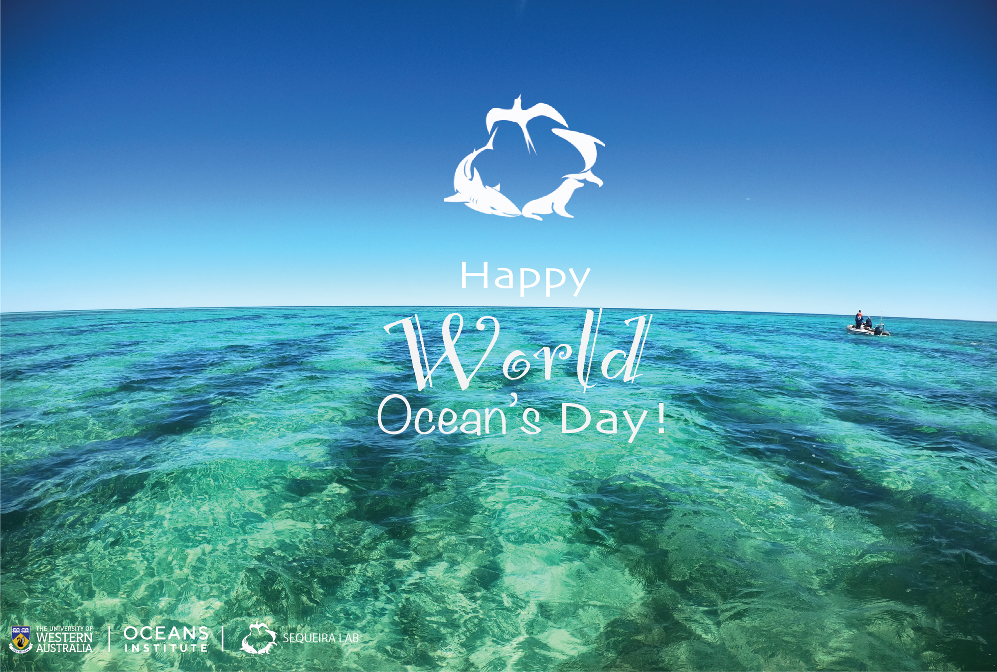 Our Sequeira Lab leader is now based at ANU - just in time for World Oceans Day!