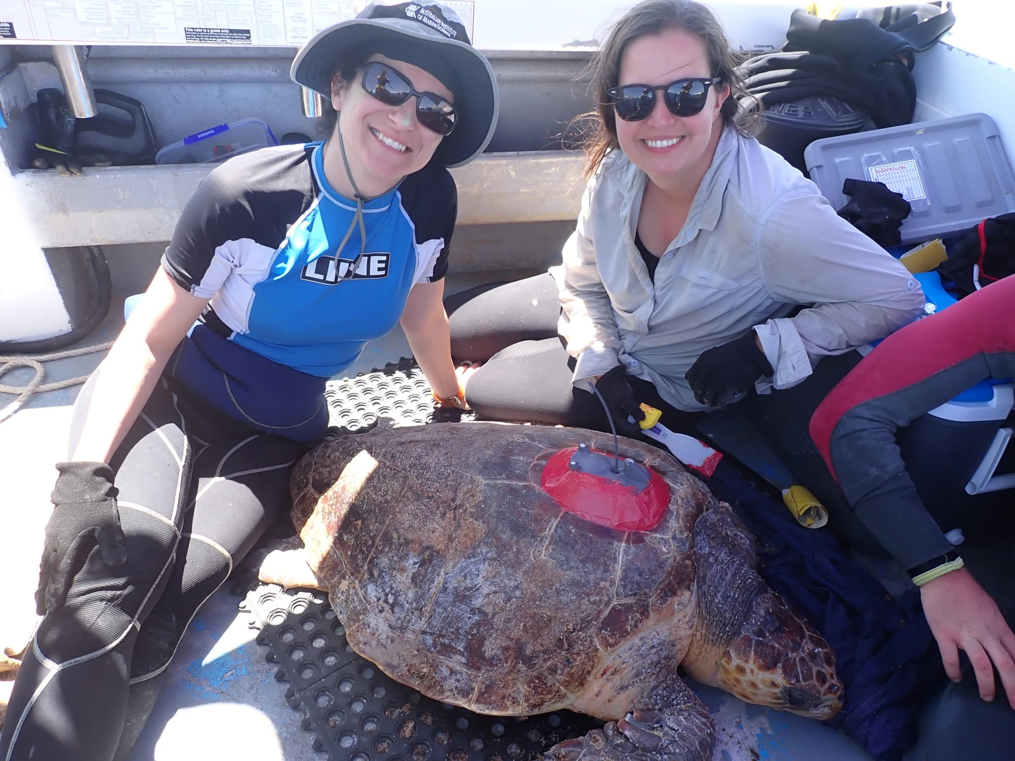 Domestic PhD applications open at the Sequeira Lab at ANU!